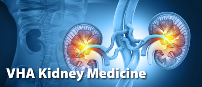 Expanding Veteran Care: Expanding Kidney Transplant Services at St ...
