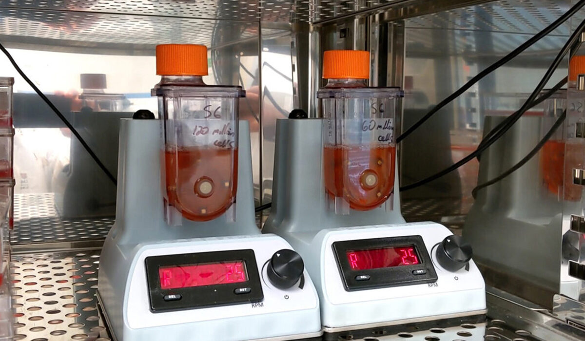 Findings may lead to improved insulin-secreting cells derived from stem ...